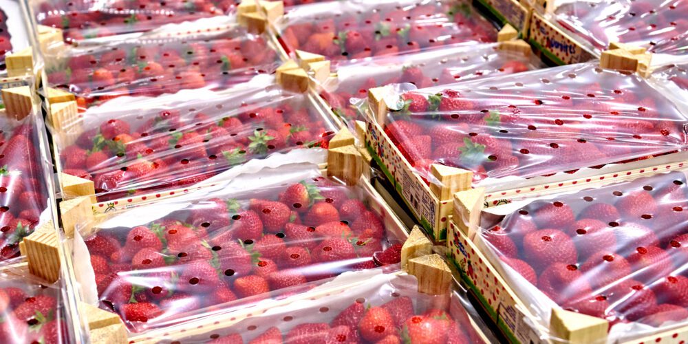 Fruits and Vegetables - Commodity Forwarders